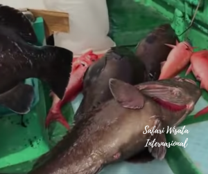 Tempat Menarik Di Aceh Indonesia - Aktiviti Pelancongan di Acheh ...