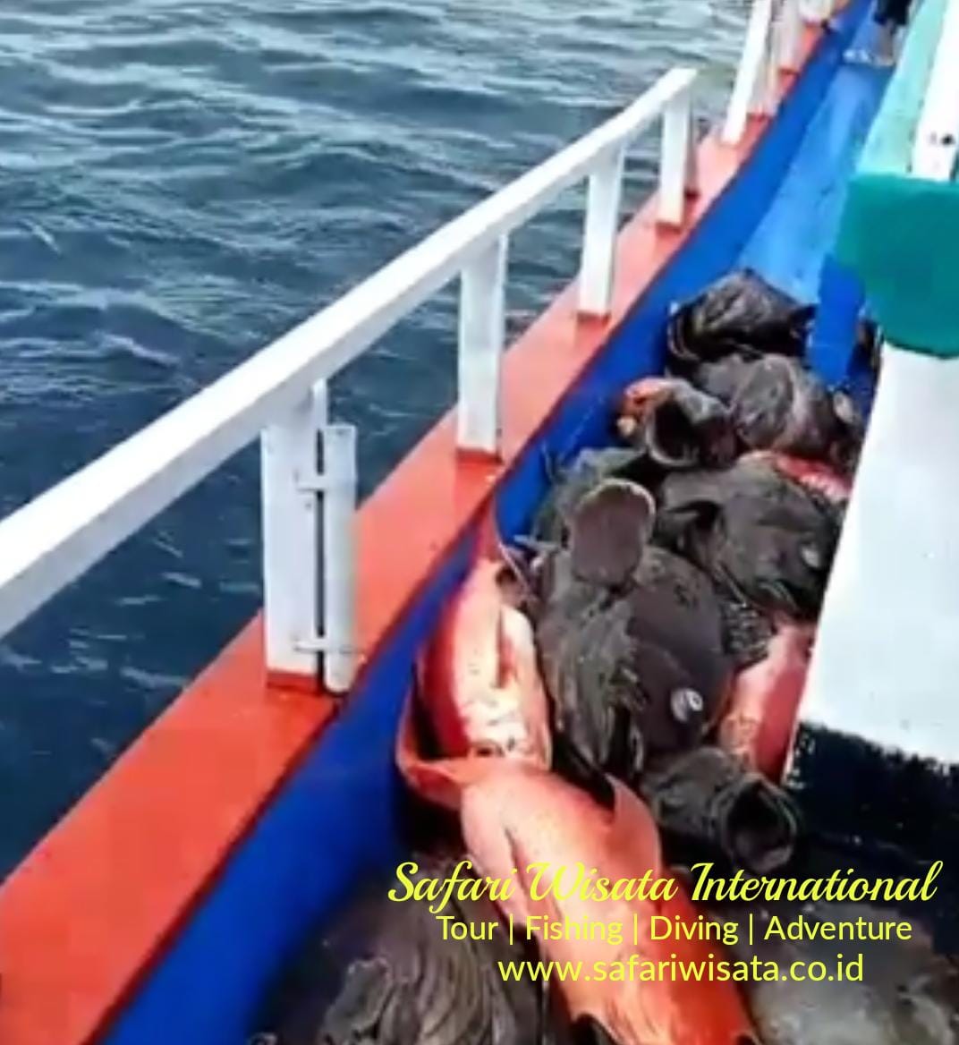 Teknik Memancing Bottom Fishing: Cara Pancing Dasar (Bottom) di Laut ...